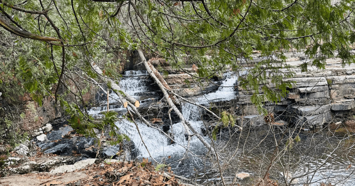 The Best Things To Do In Virginia - Lilly Valley Inn